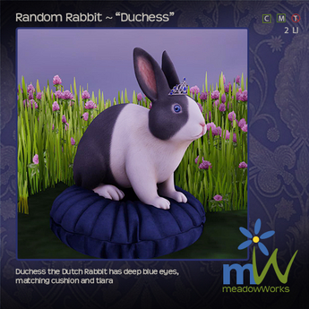 Second Life Marketplace - Random Rabbit ~ Duchess